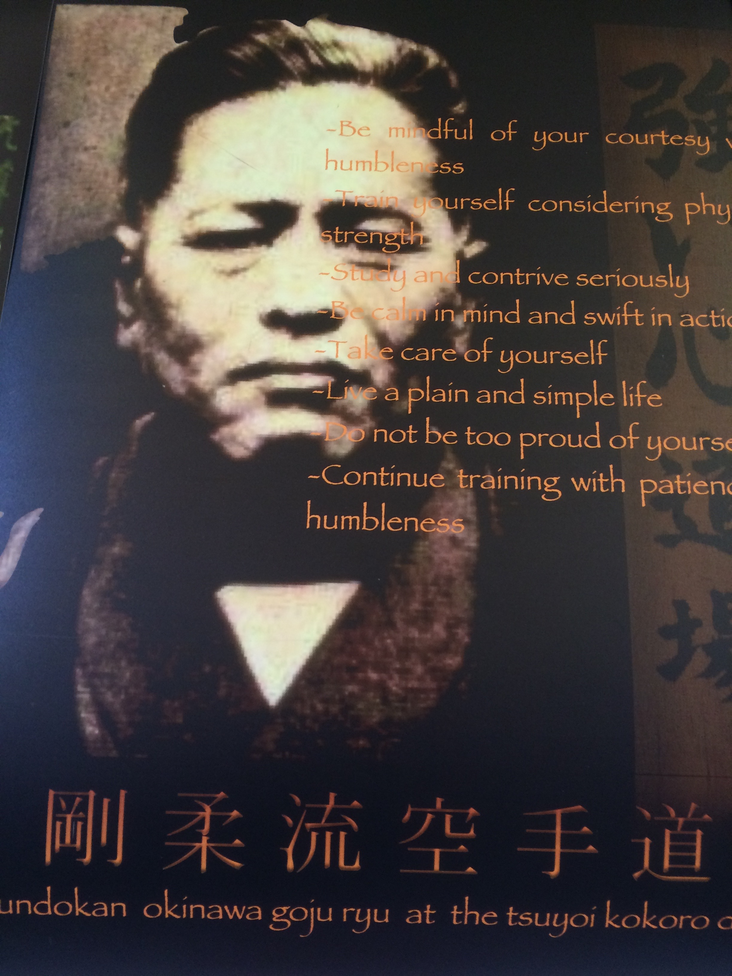 what is goju ryu karate